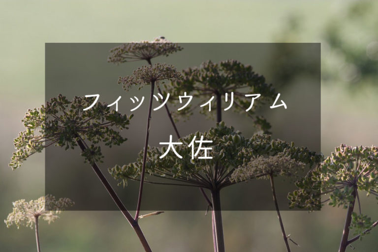 フィッツウィリアム大佐（ Colonel Fitzwilliam ）、ダーシー氏の従兄弟 ｜ ジェイン・オースティン『高慢と偏見（ Pride ...